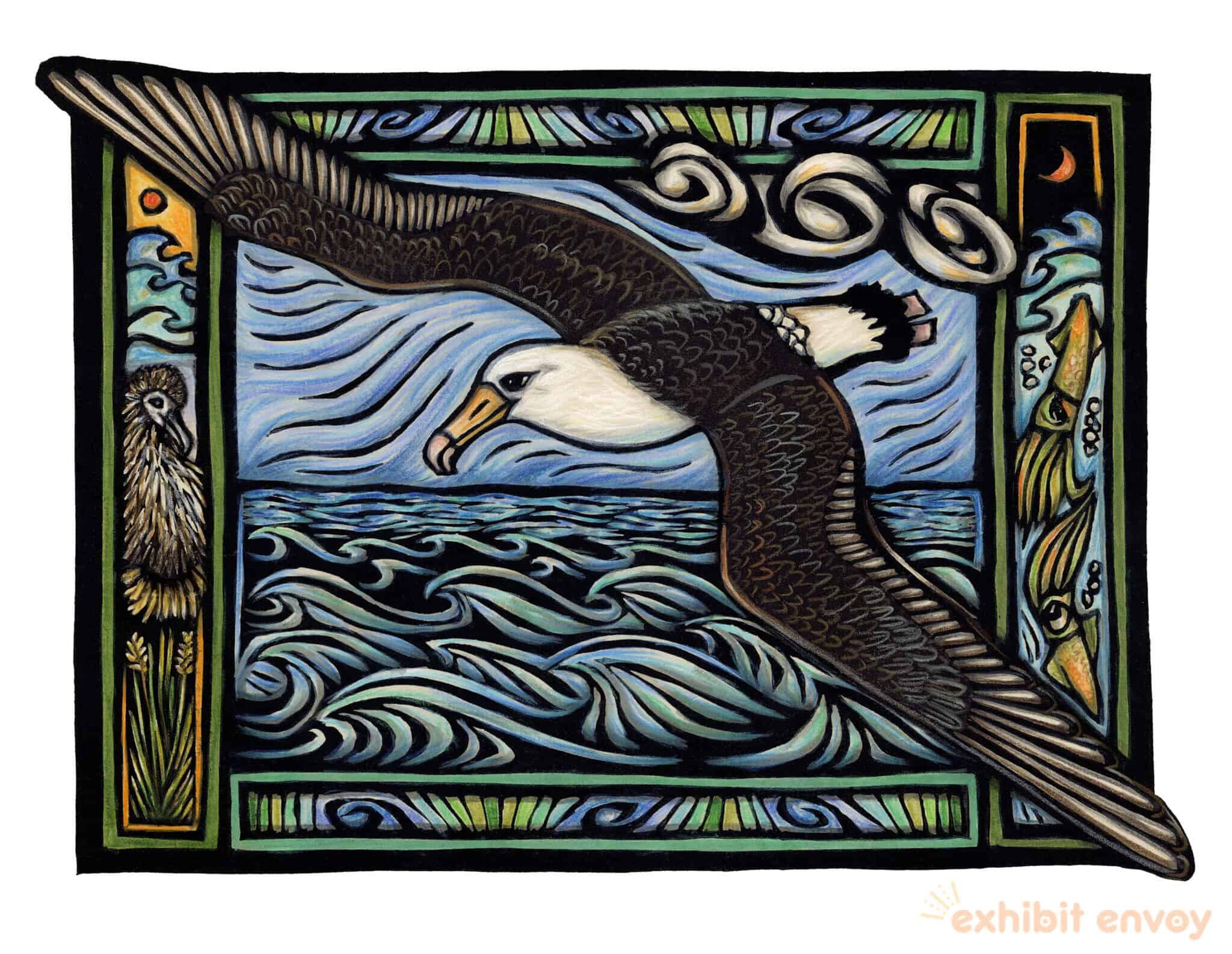 Albatross: Life on the Wind and Sea - Exhibit Envoy